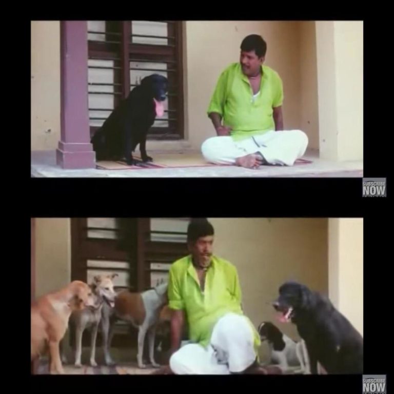 Tamil Meme Templates | Popular & Frequently Used Meme Template Tamil